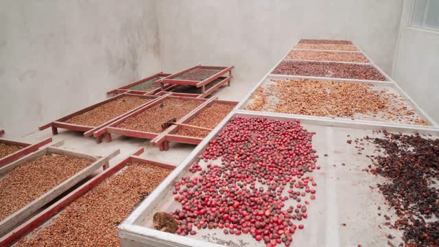 Red Tables Stock Footage: Royalty-Free Video Clips - Storyblocks