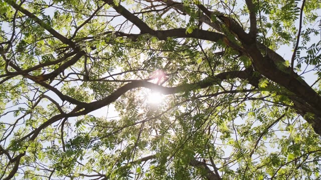 Daylight Stock Footage: Royalty-Free Video Clips - Storyblocks