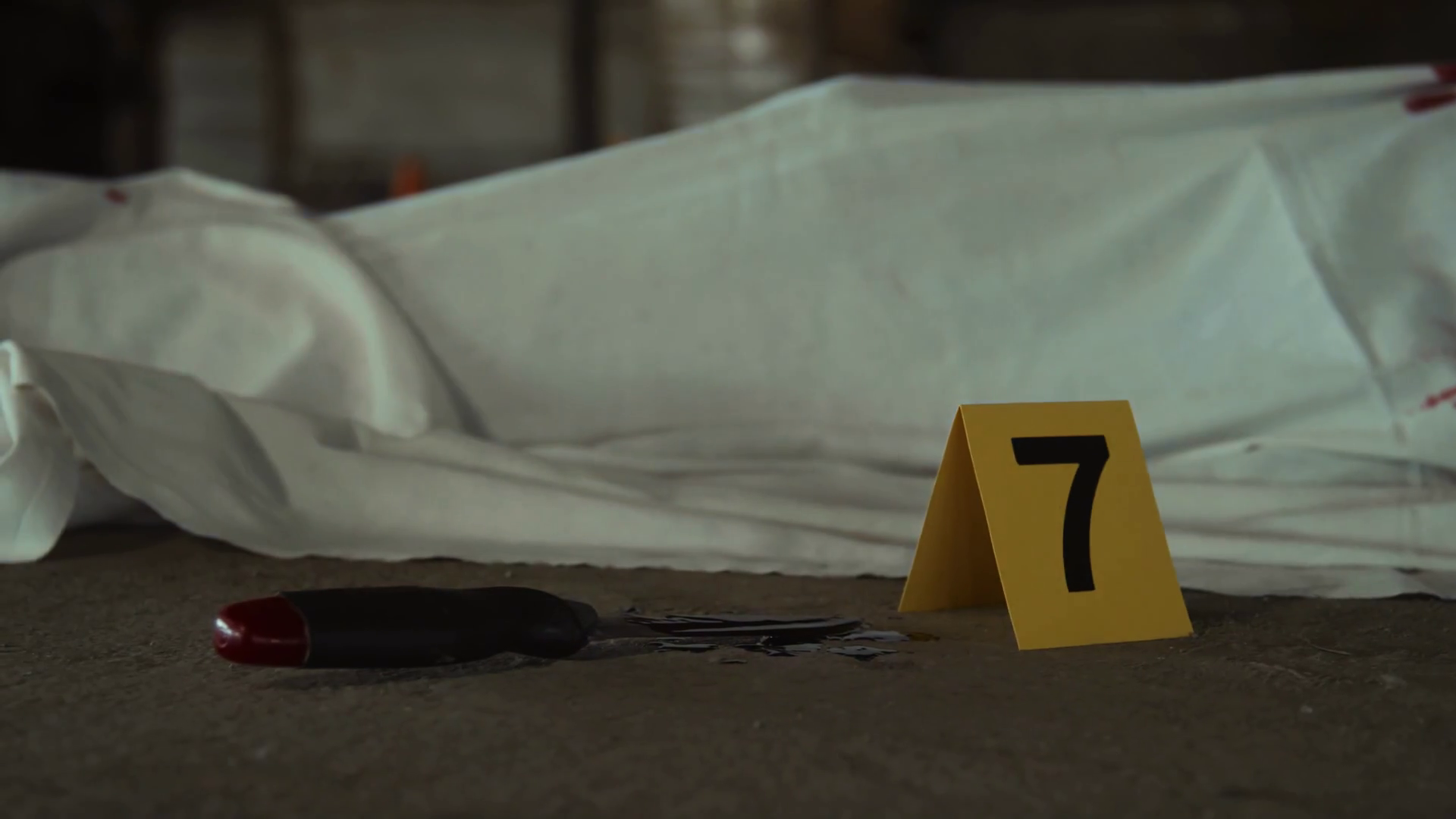 Close-up Shot Of Dead Body Covered With Stock Footage SBV-347653953 ...