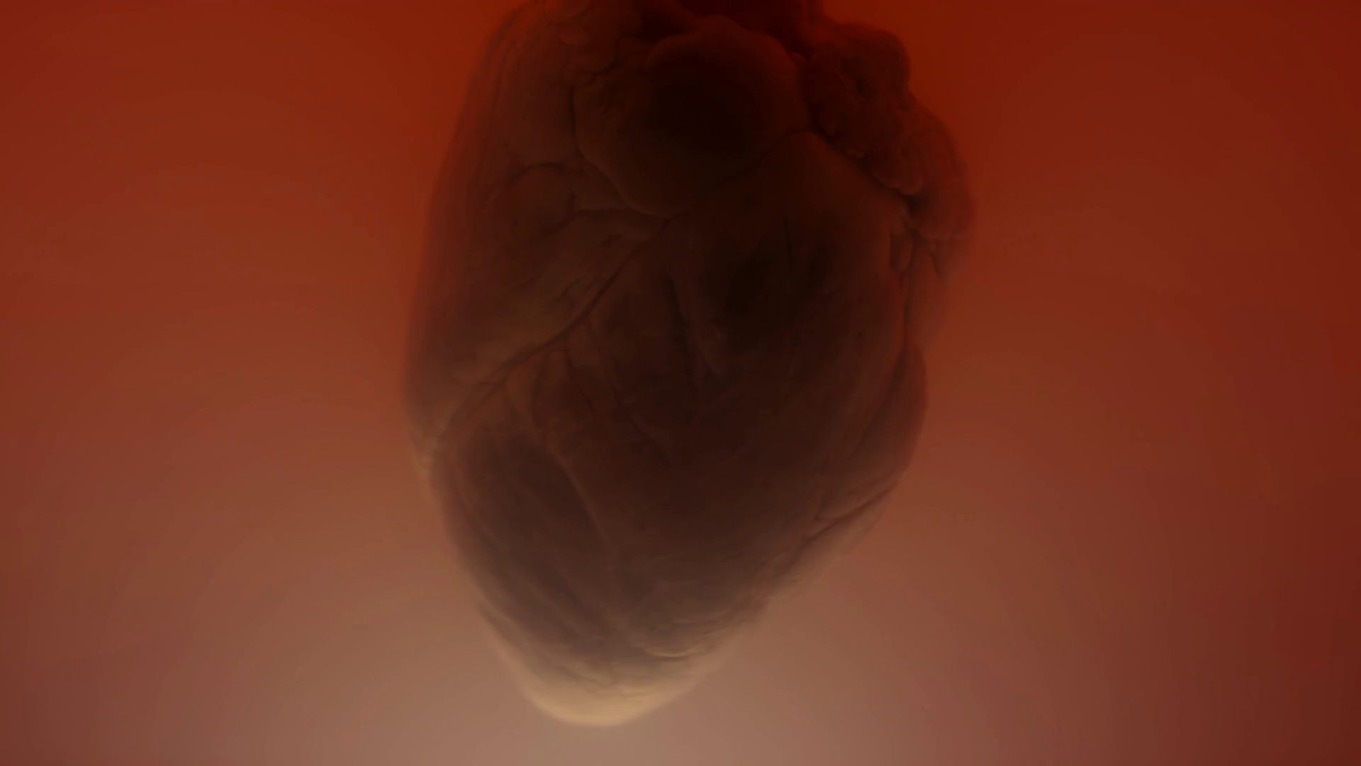 Macro Closeup Of Lab Growing Heart Beating Stock Footage SBV-348605987 ...