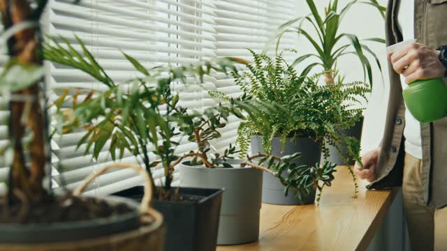 Indoor Happiness Stock Footage: Royalty-Free Video Clips - Storyblocks