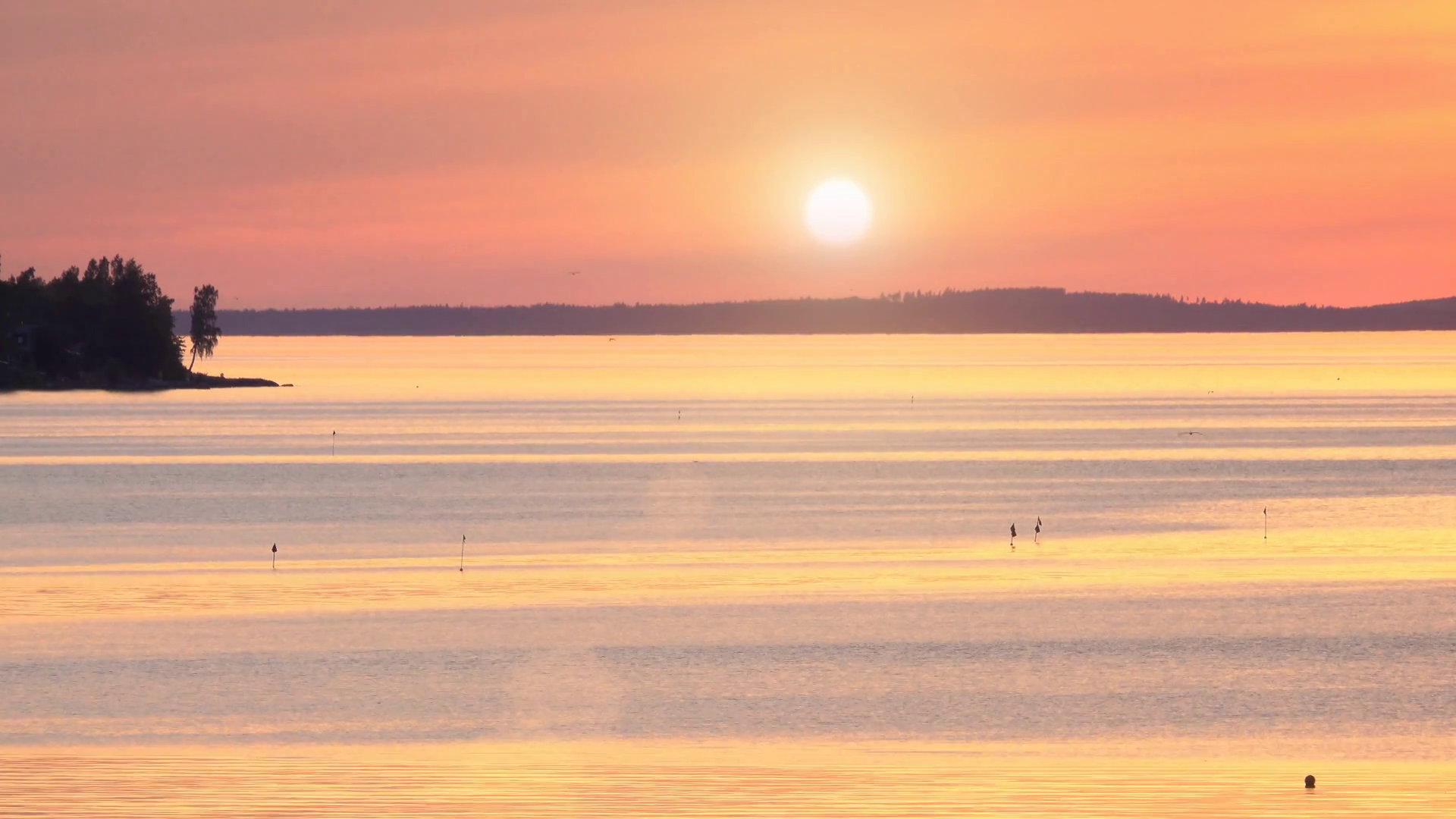 Scenic Landscape In Sweden Nature Scene With Stock Footage SBV ...