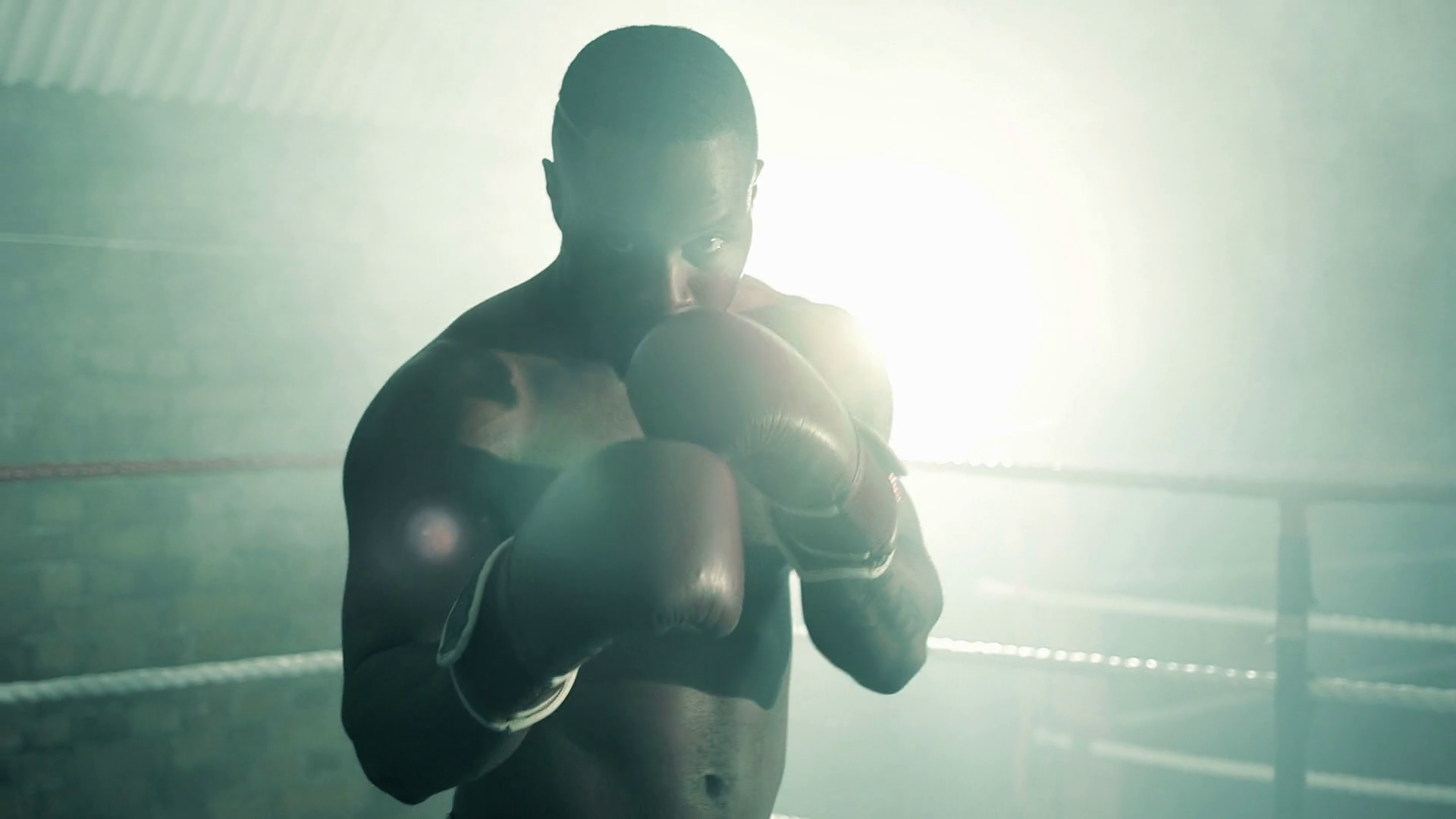 Male Boxer Punches Firecly Inside Boxing Ring Stock Footage SBV ...