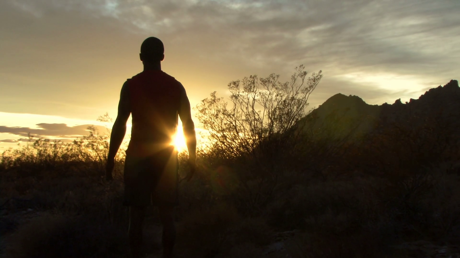 Male Reaching Arms Out At Sunset Stock Footage SBV-338839666 - Storyblocks