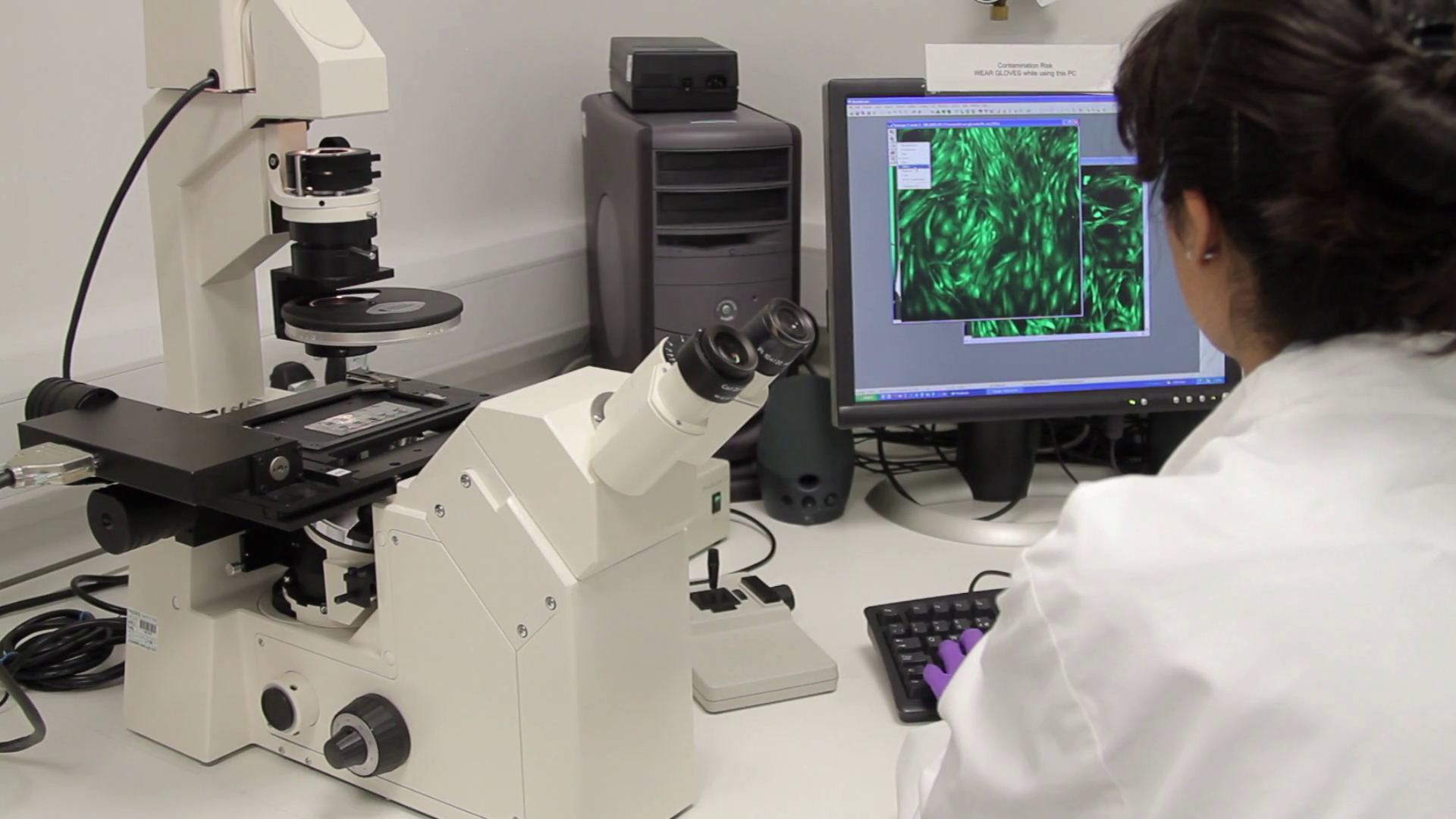 Scientist Looking Through Microscope Check Stock Footage SBV-338843195 ...