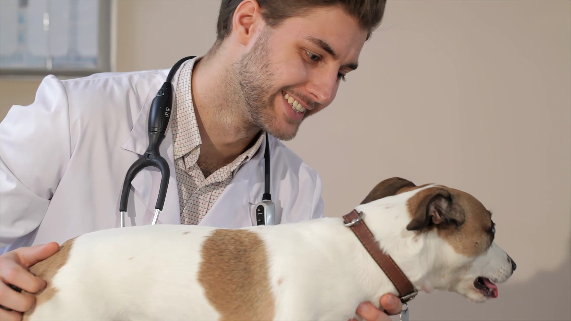 Male Vet Holding Dog On Vet Table Stock Footage SBV-348398527 - Storyblocks