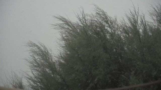 Heavy Wind Blowing Stock Footage: Royalty-Free Video Clips - Storyblocks