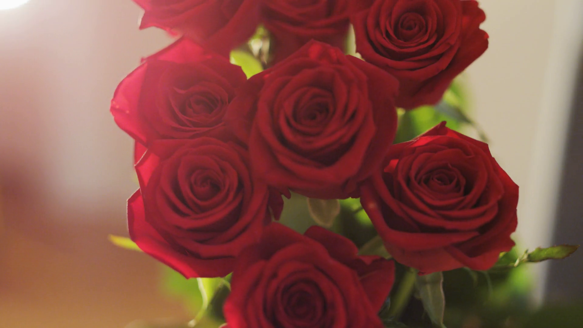 A Bouquet Of Red Roses Stock Footage SBV-310876542 - Storyblocks