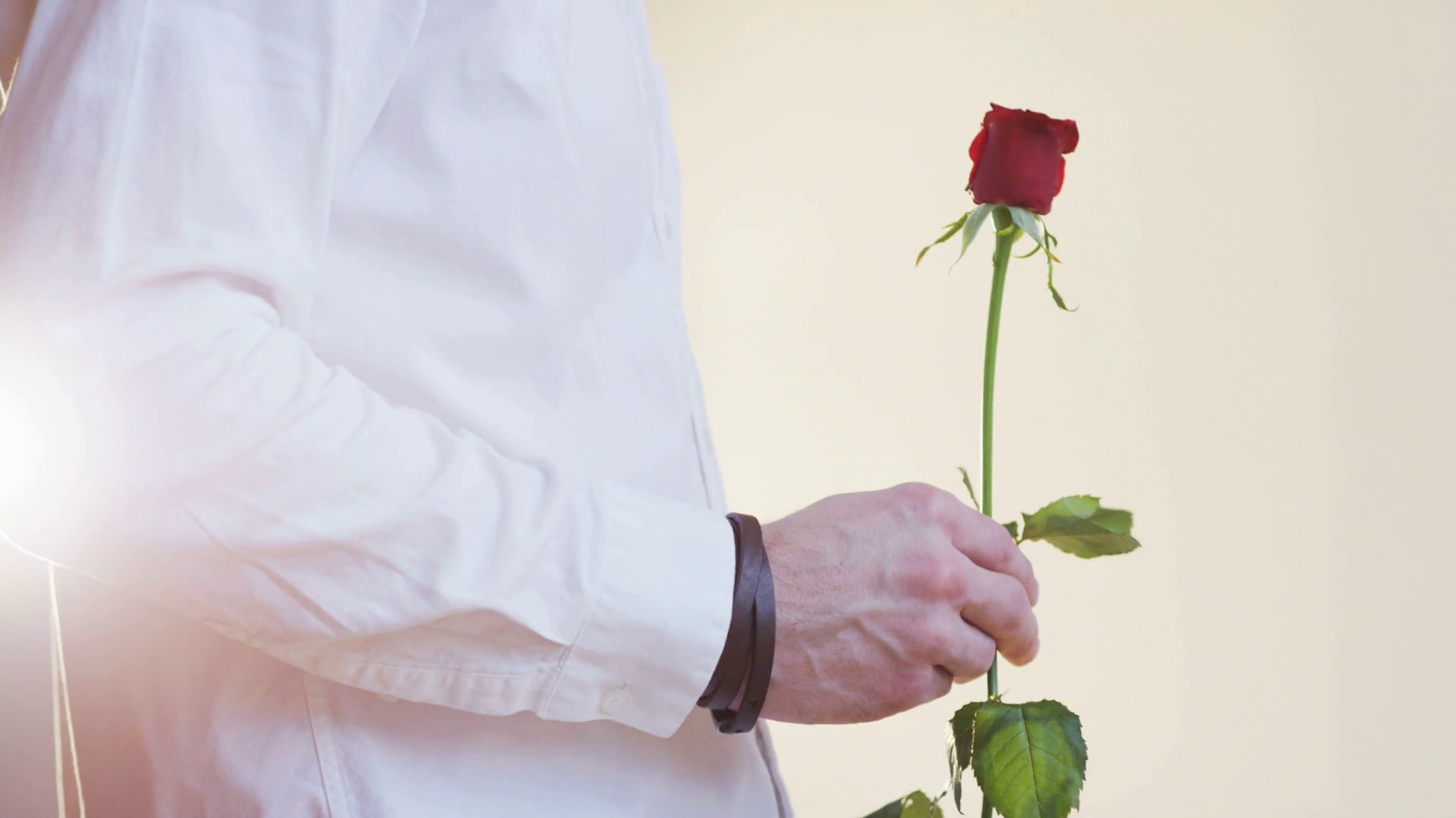 A Man Gives Red Rose To Woman Stock Footage SBV-310775012 - Storyblocks