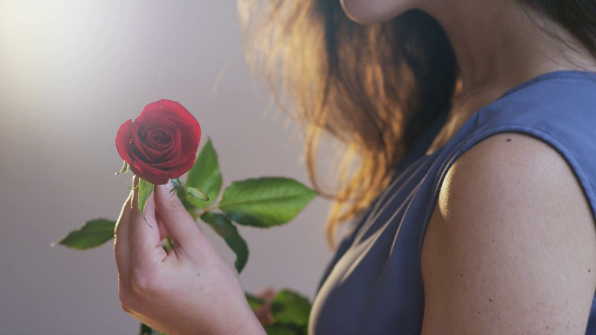 Woman Holding Red Rose Stock Footage SBV-310775596 - Storyblocks