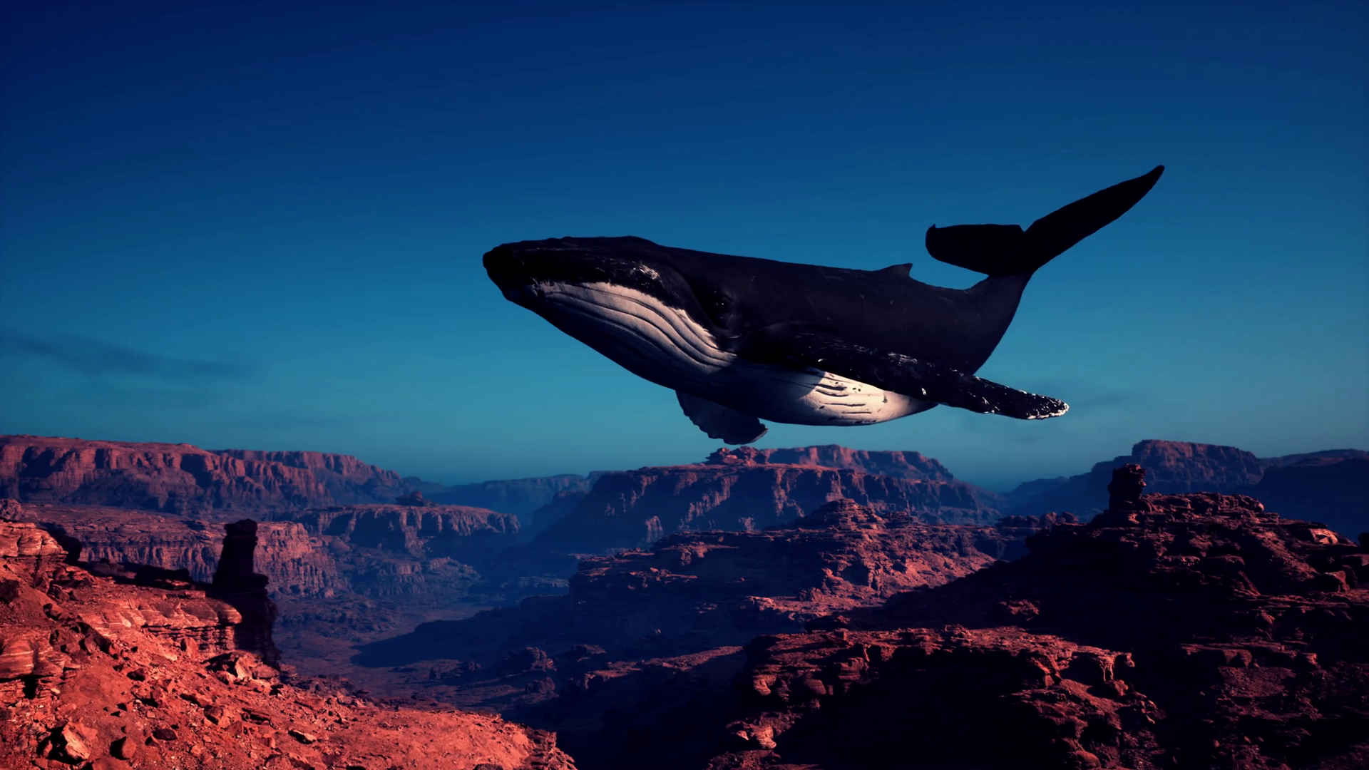 Giant Whale Floating In Air Stock Motion Graphics SBV-349025619 ...