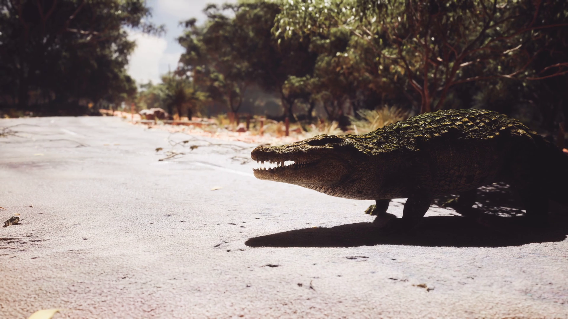 Crocodile Walking Along Sunny Road In Stock Motion Graphics SBV ...