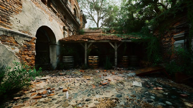 Ruin Life Stock Footage: Royalty-Free Video Clips - Storyblocks