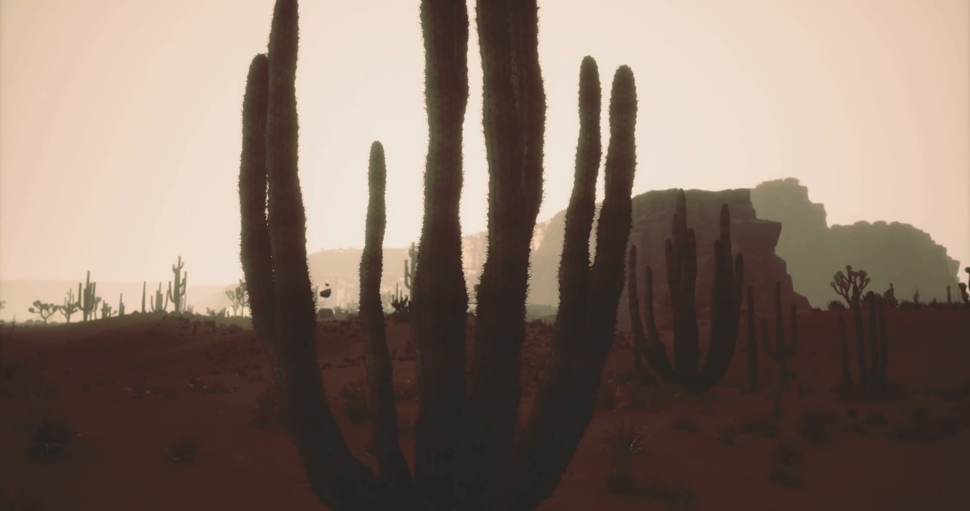 Desert Landscape At Sunset With Tall Cactus Stock Motion Graphics SBV-351795460 - Storyblocks