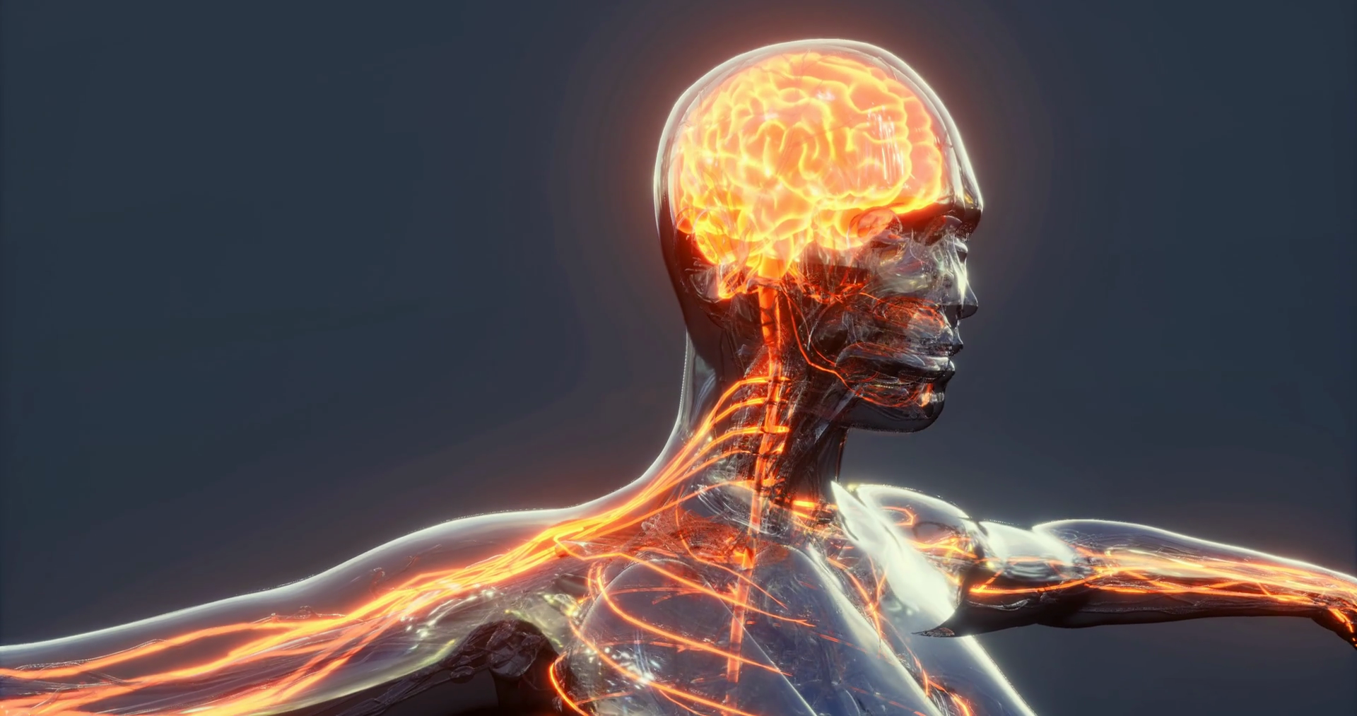 Understanding Brain Anatomy Through Detailed Stock Motion Graphics SBV ...