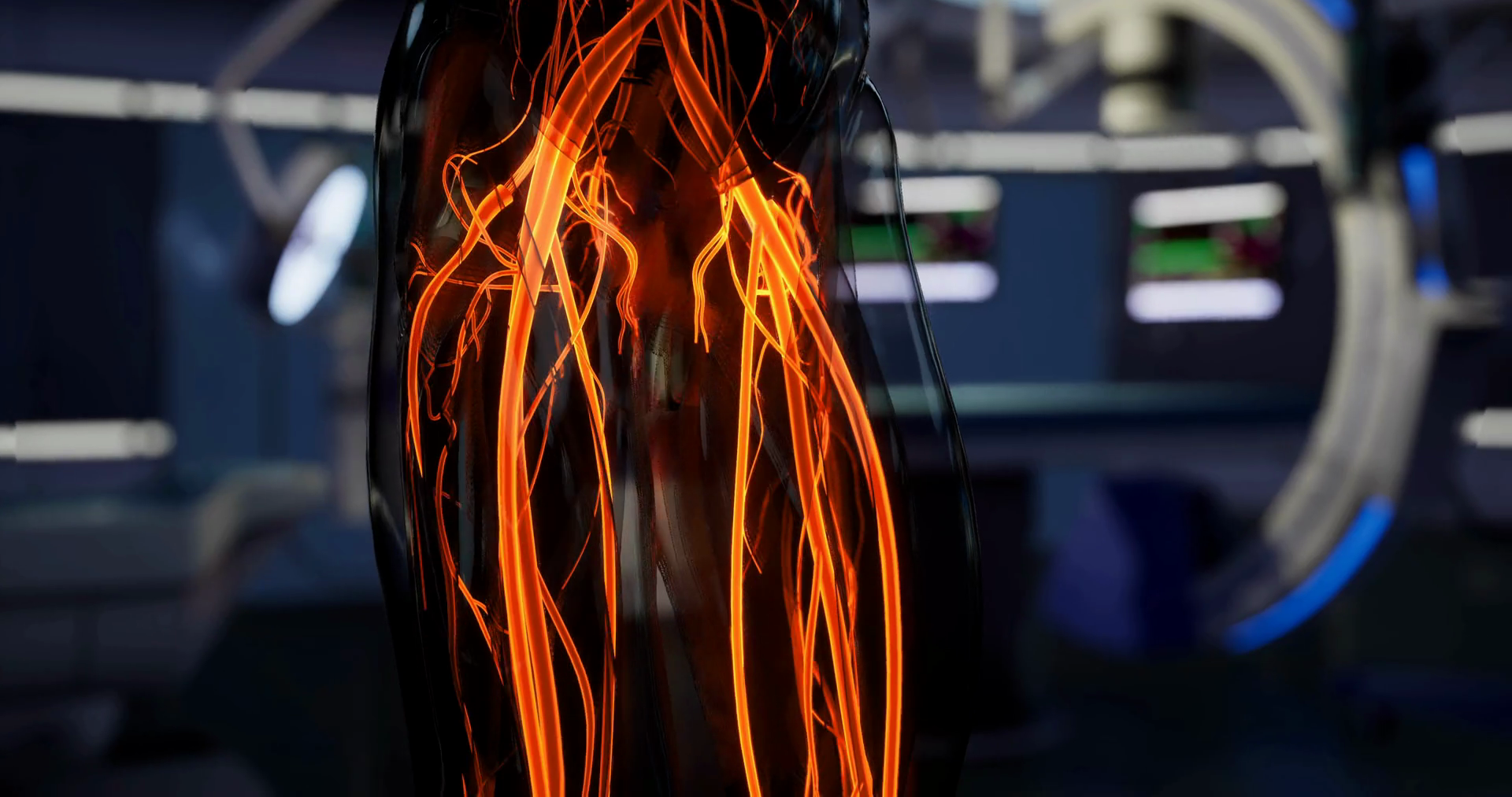 Blood Vessels: Veins Arteries In Medical Stock Motion Graphics SBV ...