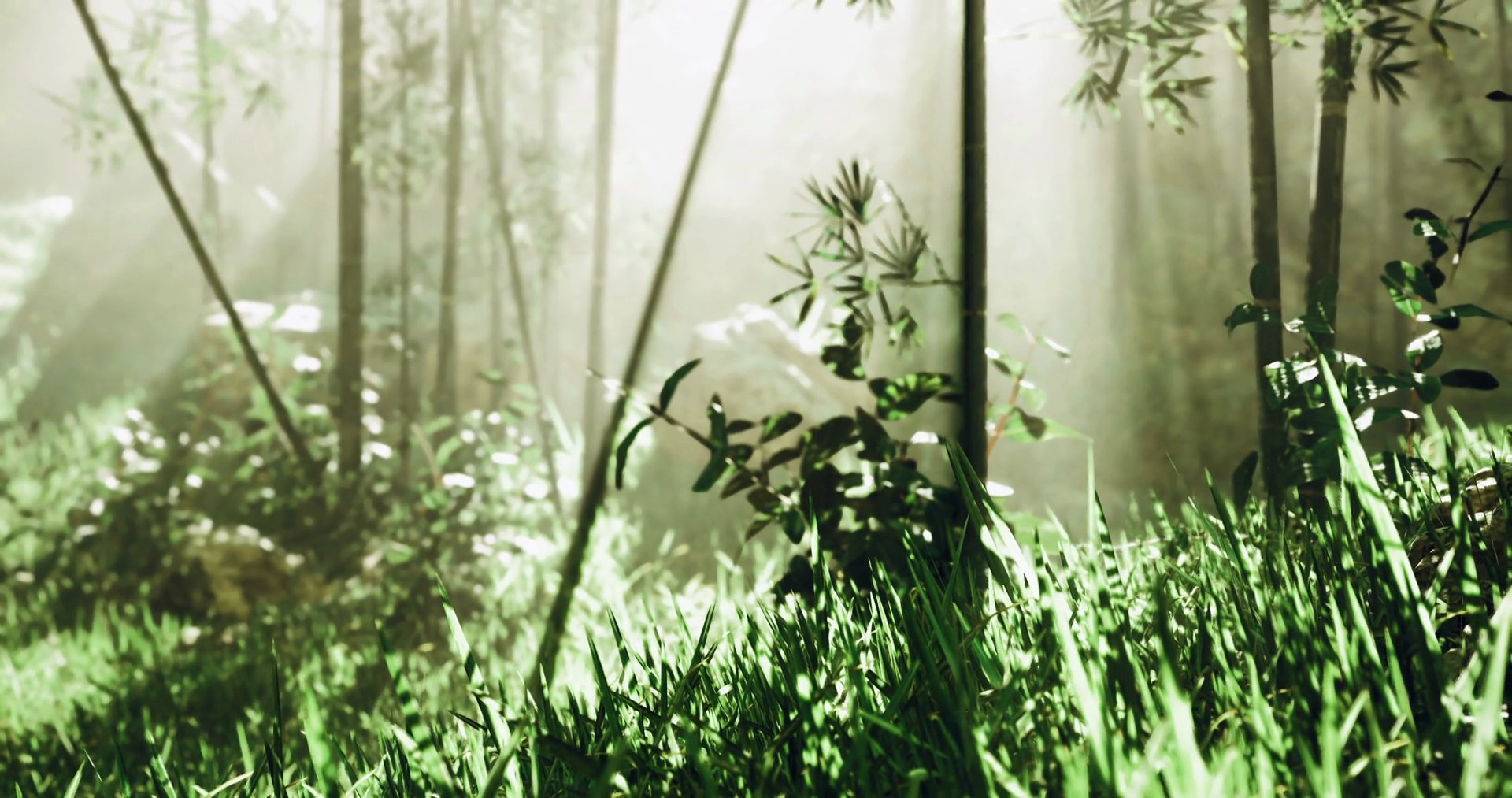 Lush Green Landscape Illuminated Soft Stock Motion Graphics SBV ...