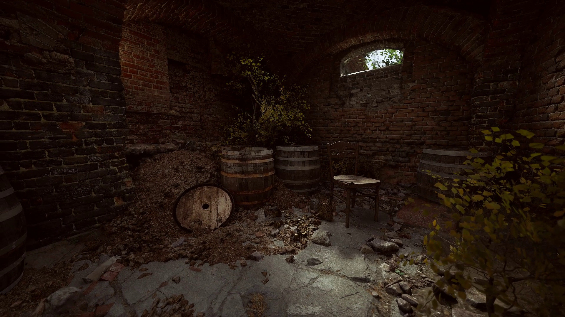 Abandoned Cellar With Wooden Barrels Stock Motion Graphics SBV ...
