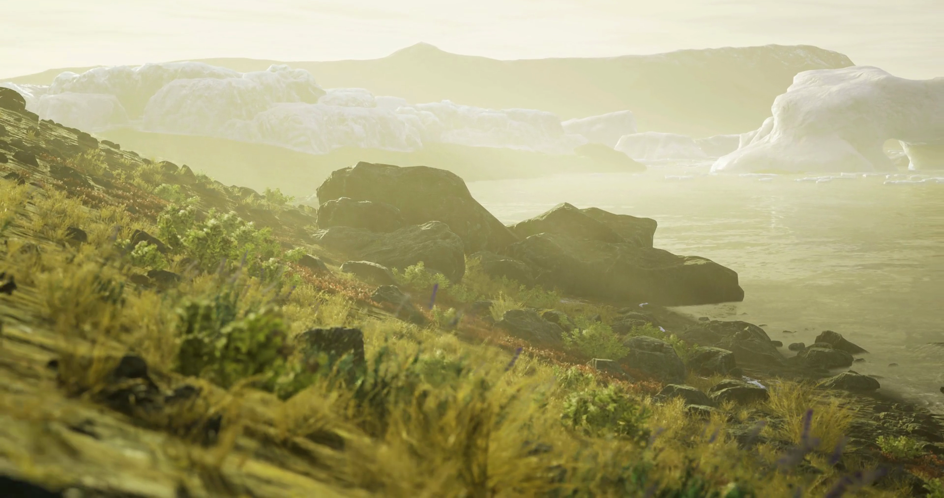 Calm Shoreline With Rocks Vegetation At Stock Motion Graphics SBV ...