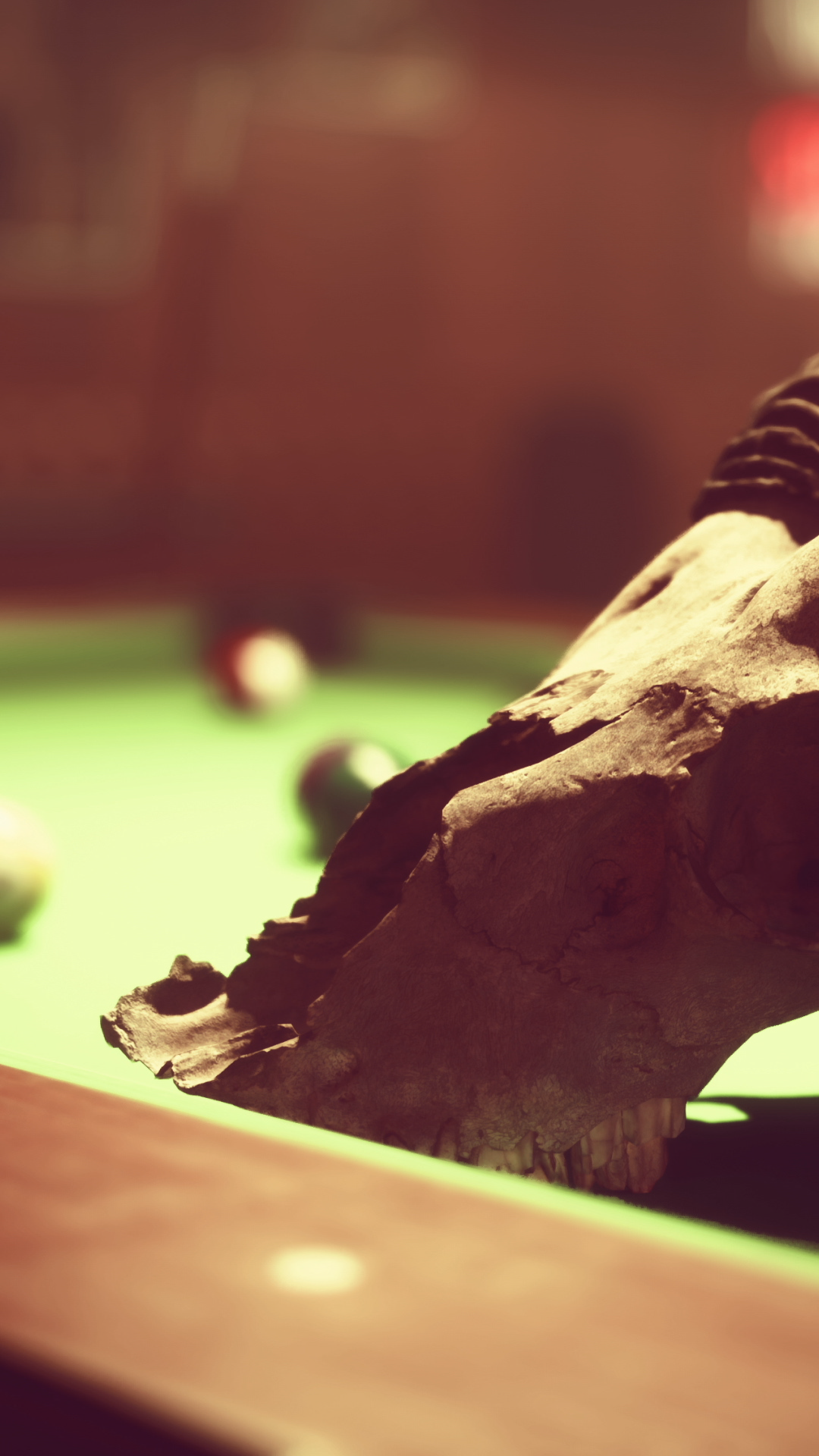 A Close Up Of Pool Table With Animal Skull Stock Footage SBV-353160840 ...