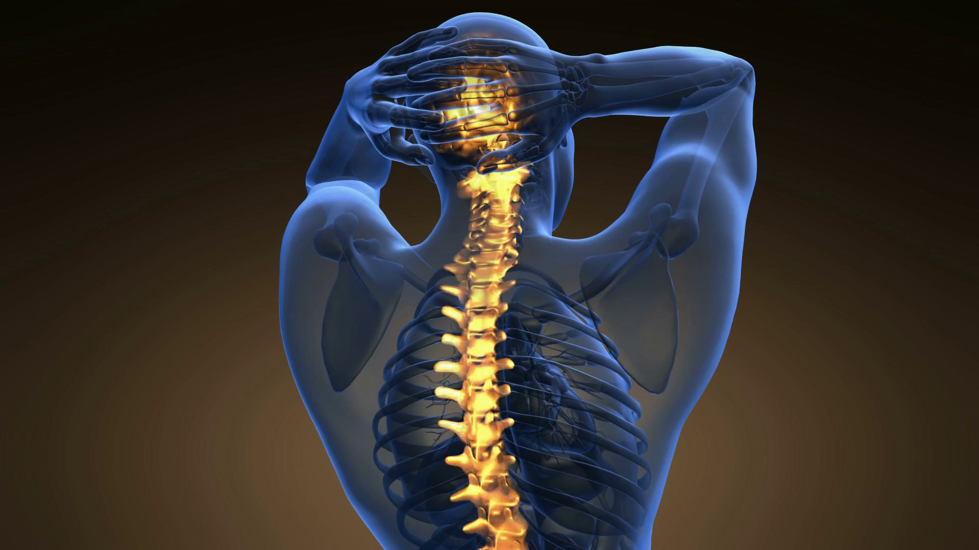 Backbone Backache Science Anatomy Scan Of Stock Motion Graphics SBV