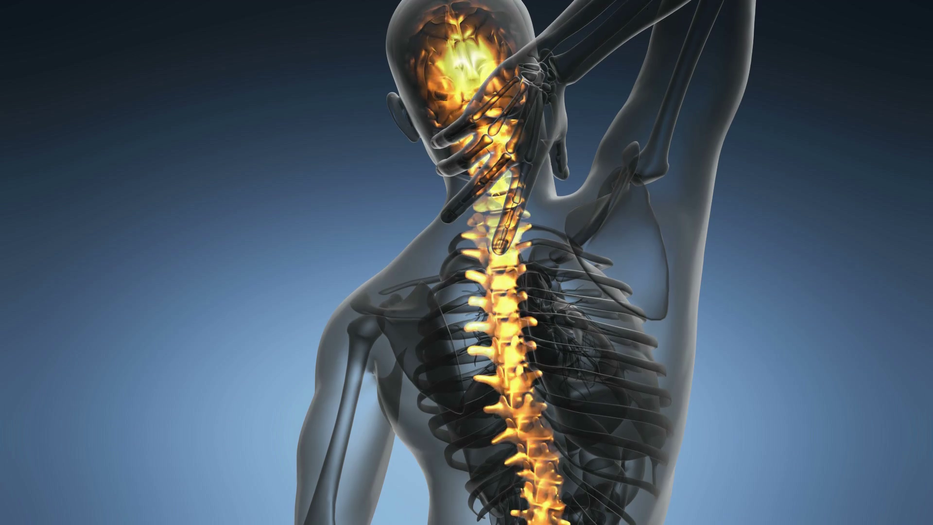 Backbone Backache Science Anatomy Scan Of Stock Motion Graphics SBV ...