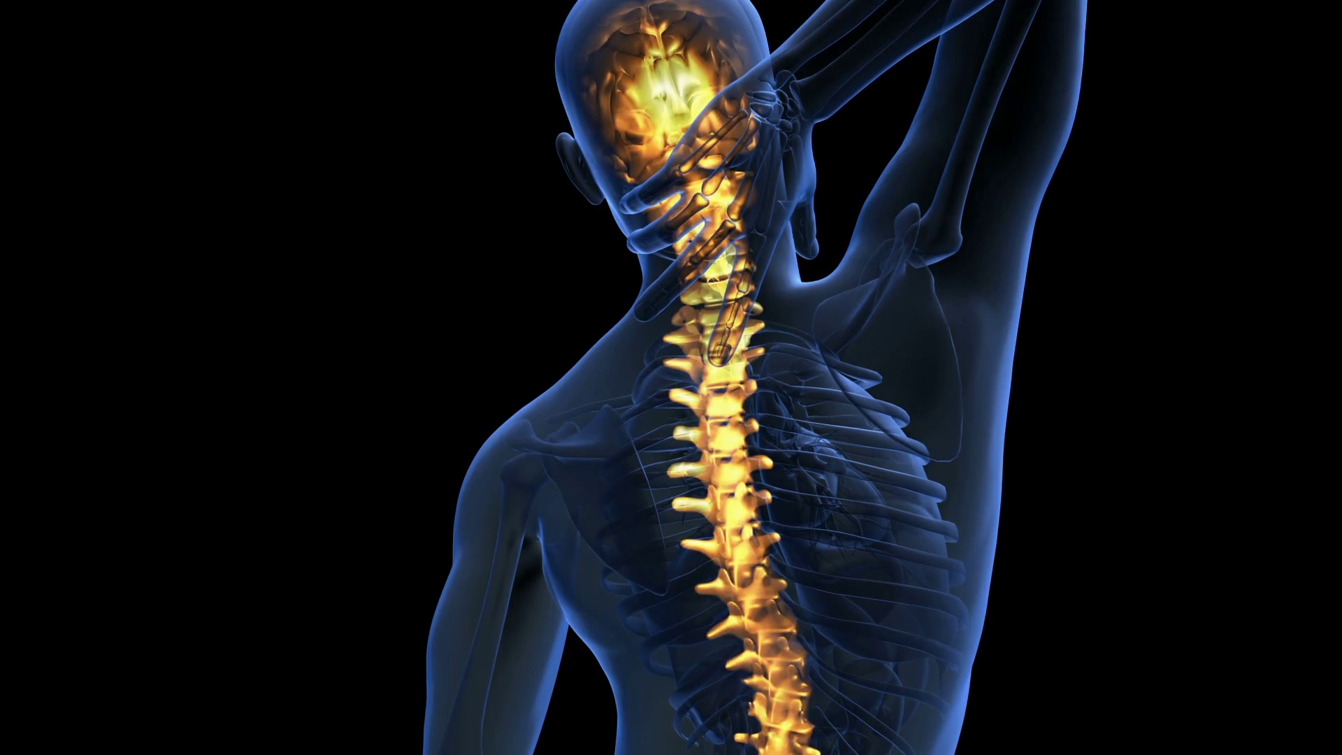 Backbone Backache Science Anatomy Scan Of Human Spine Bones Glowing