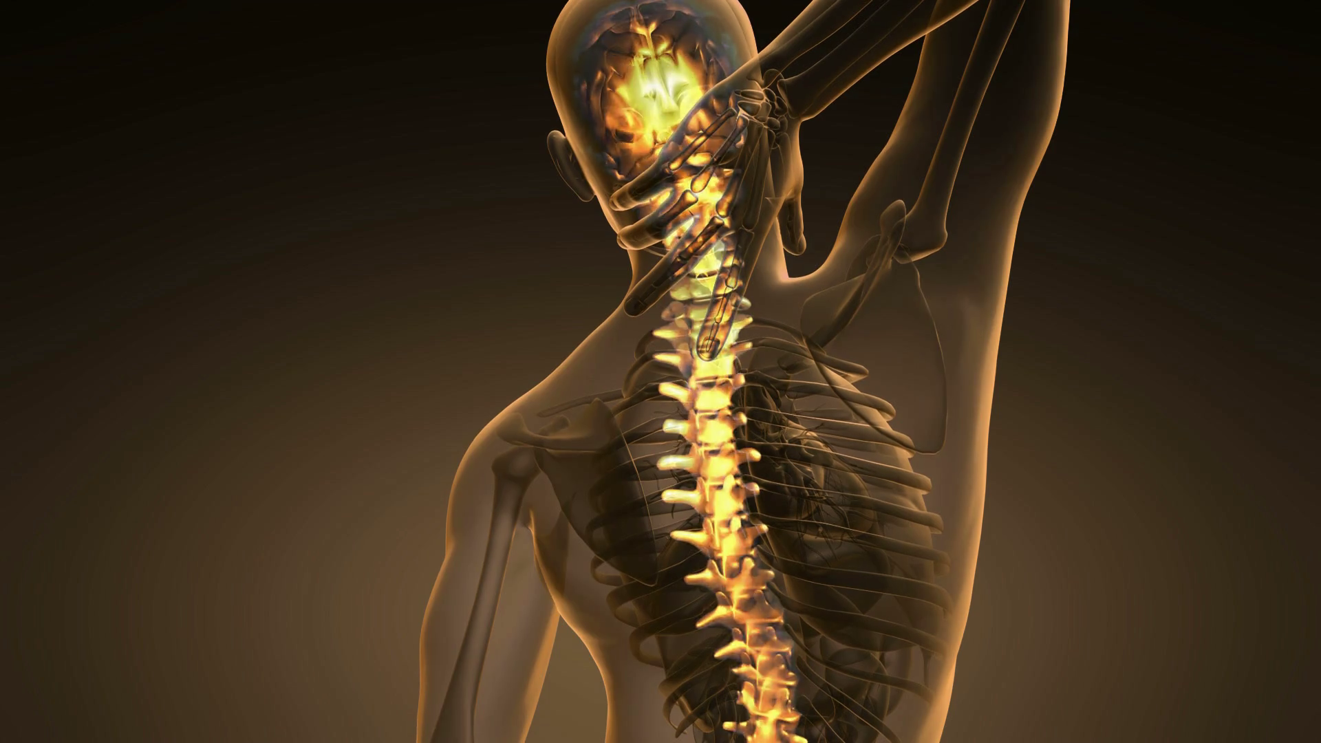 backbone-backache-science-anatomy-scan-of-human-spine-bones-glowing