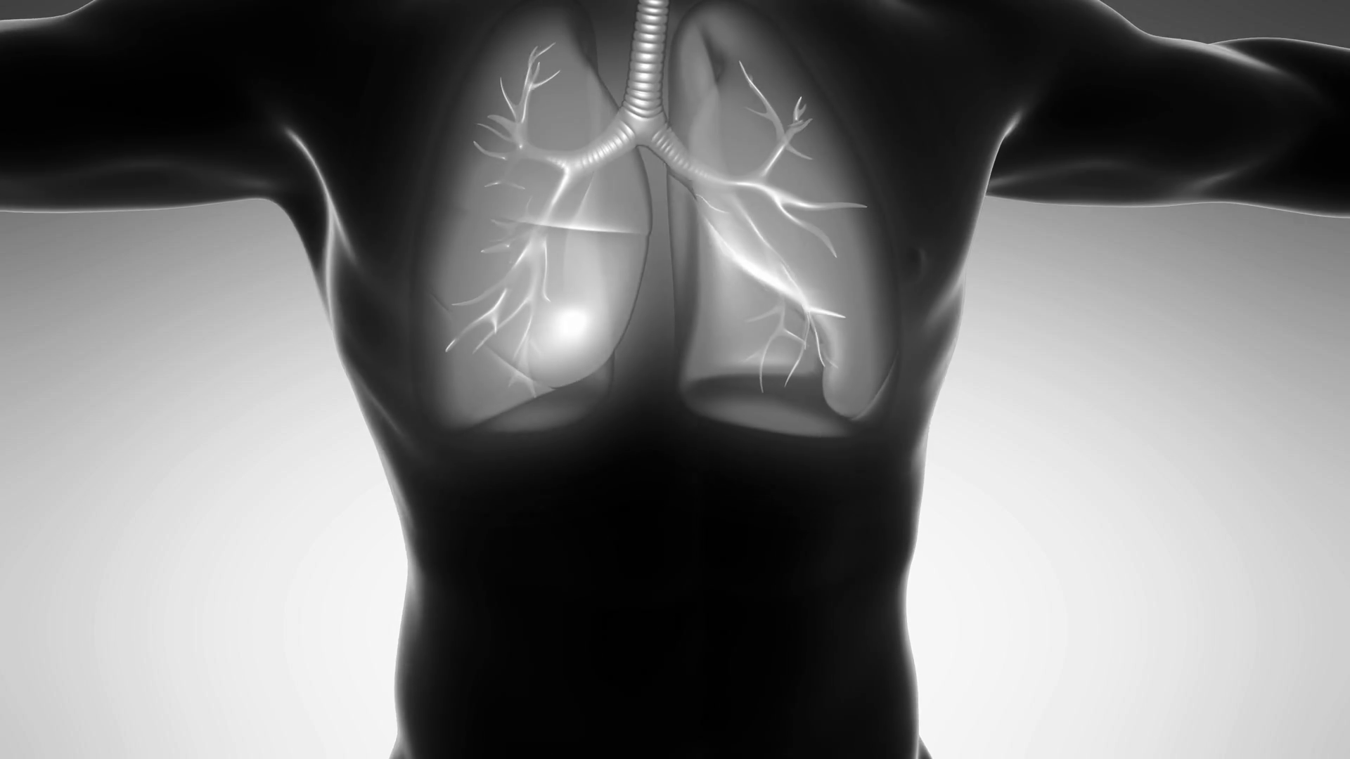 loop science anatomy of man body with glow lungs on white Motion ...