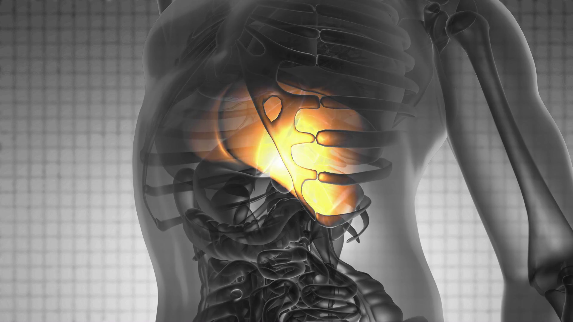 Science Anatomy Scan Of Human Liver Glowing Stock Motion Graphics SBV ...