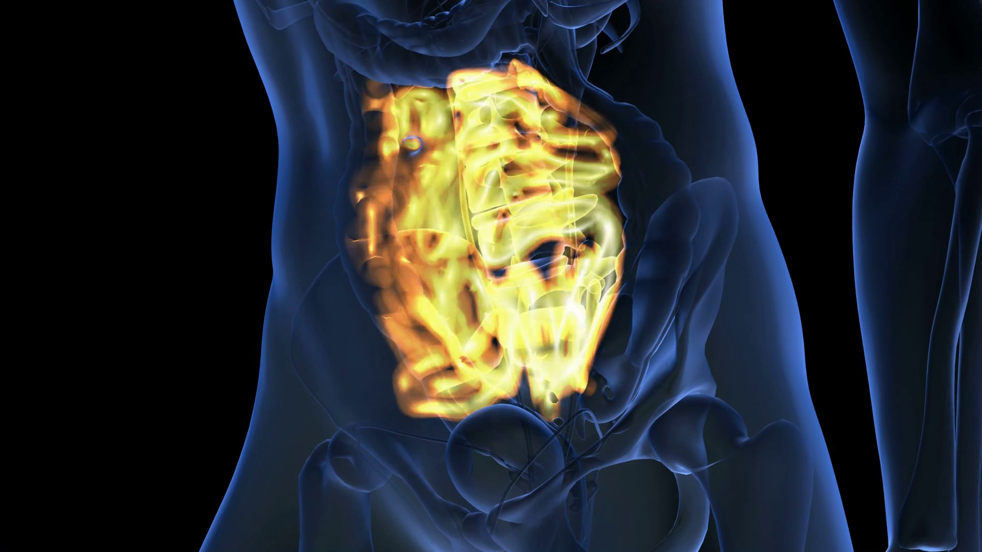 Science Anatomy Scan Of Human Small Stock Motion Graphics SBV-310142879 ...