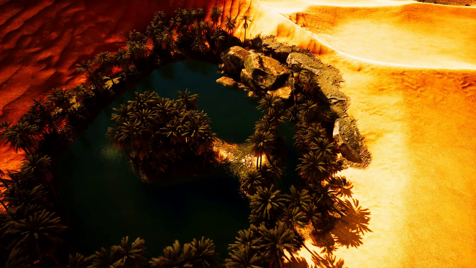 Top Down Aerial View Of Oasis In Desert Stock Motion Graphics SBV ...