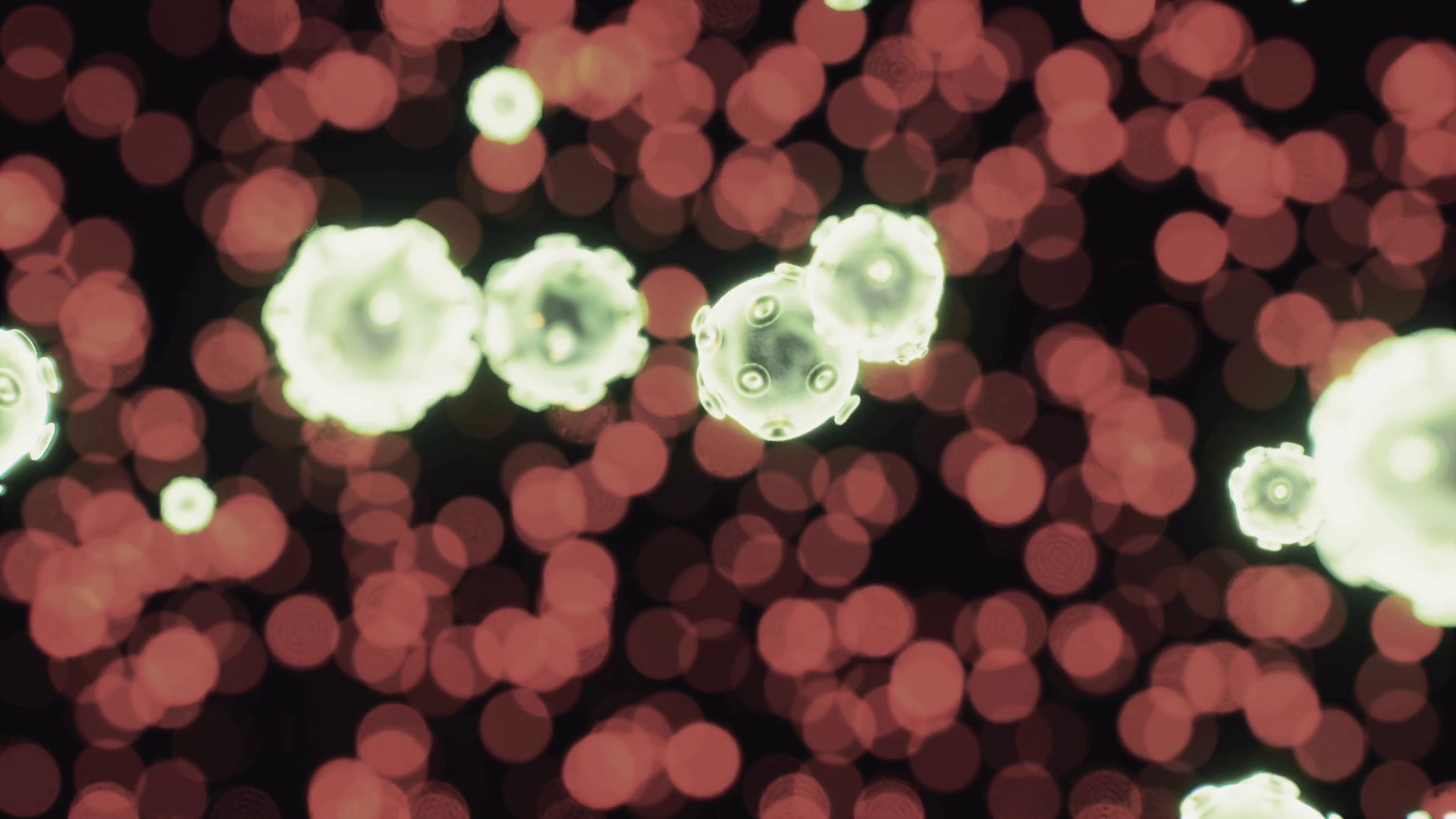 Viruses Under Microscopic View Education Stock Motion Graphics SBV ...