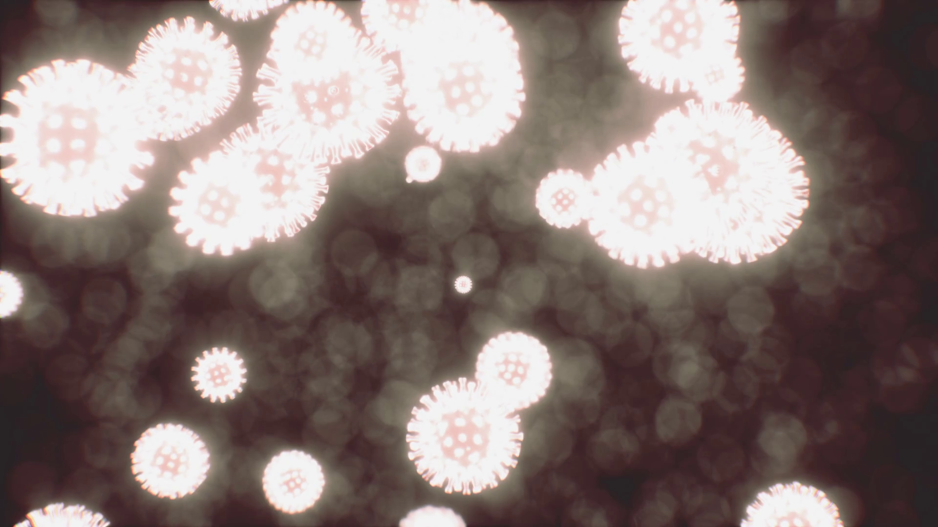 Virus Cells Bacterias Under Microscope Stock Footage SBV-348742349 ...