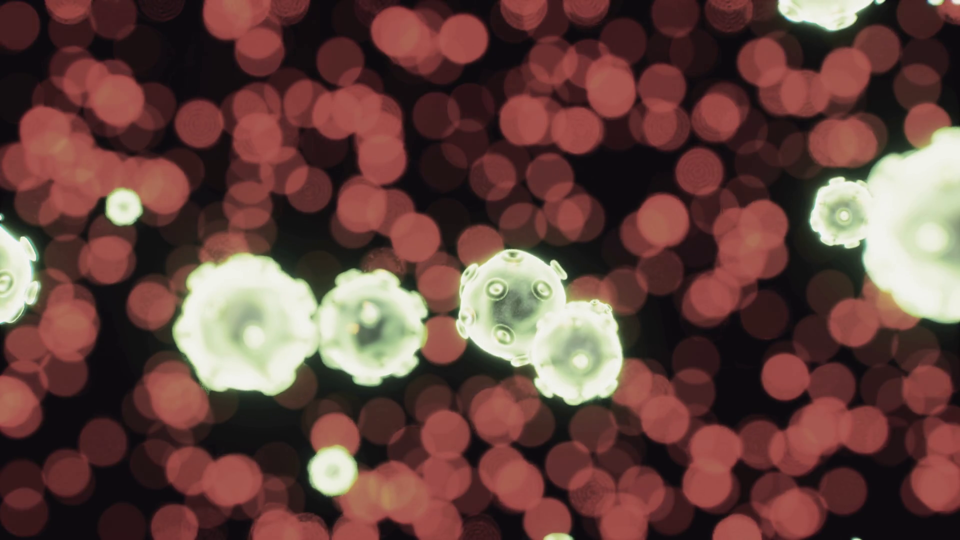 Viruses Under Microscopic View Education Stock Motion Graphics SBV-347618331 - Storyblocks