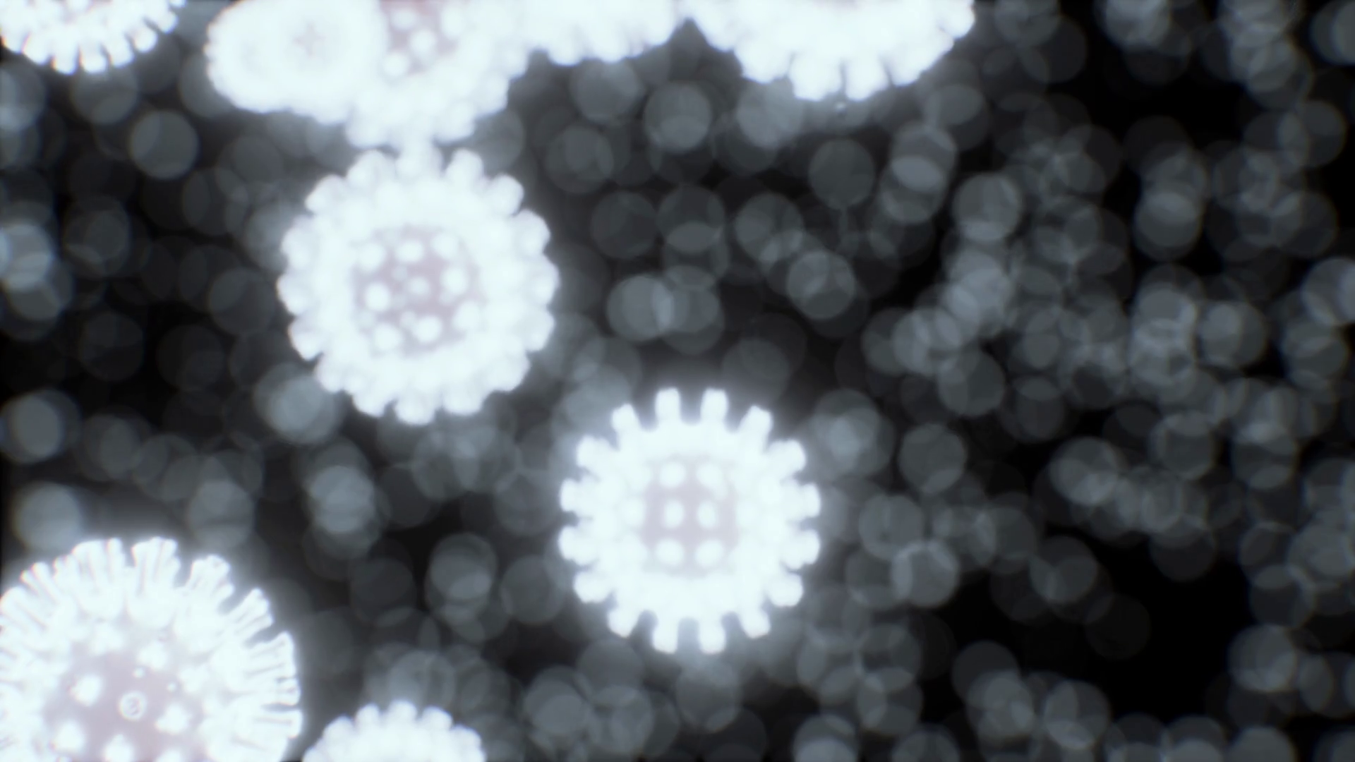 Virus Cells Bacterias Under Microscope Stock Motion Graphics SBV ...