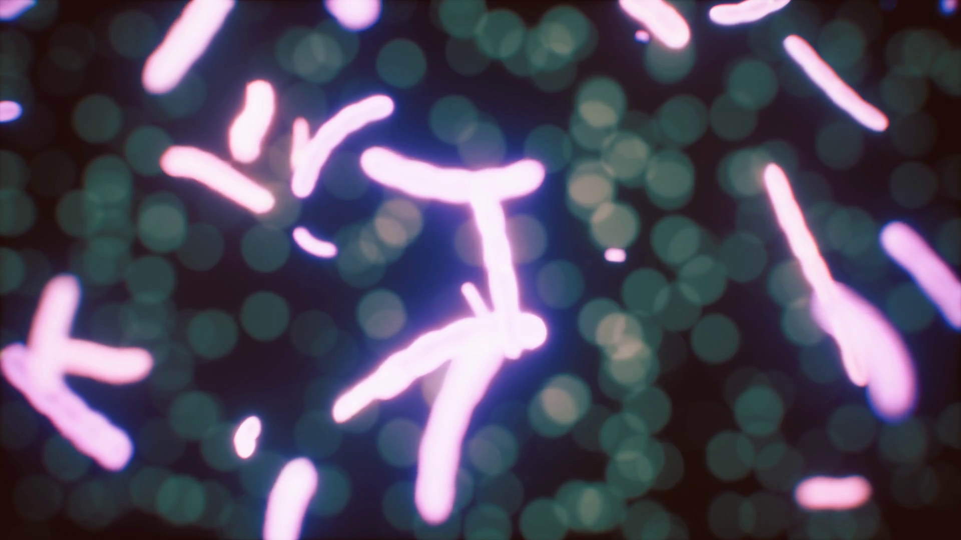 Viruses Under Microscopic View Education Stock Motion Graphics SBV-347799628 - Storyblocks