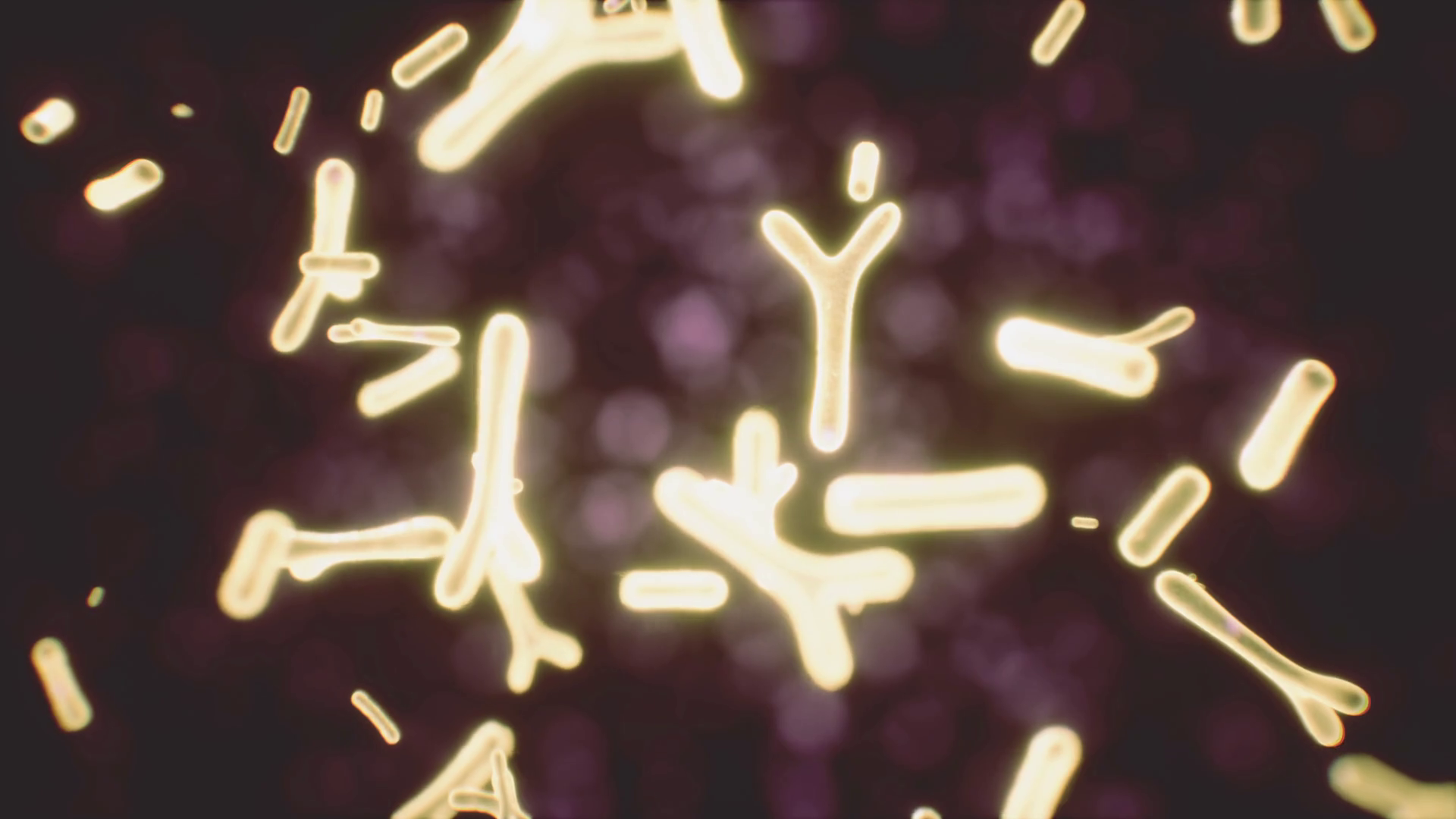 Viewing Navirus Under Digital Microscope Stock Footage SBV-348759908 ...