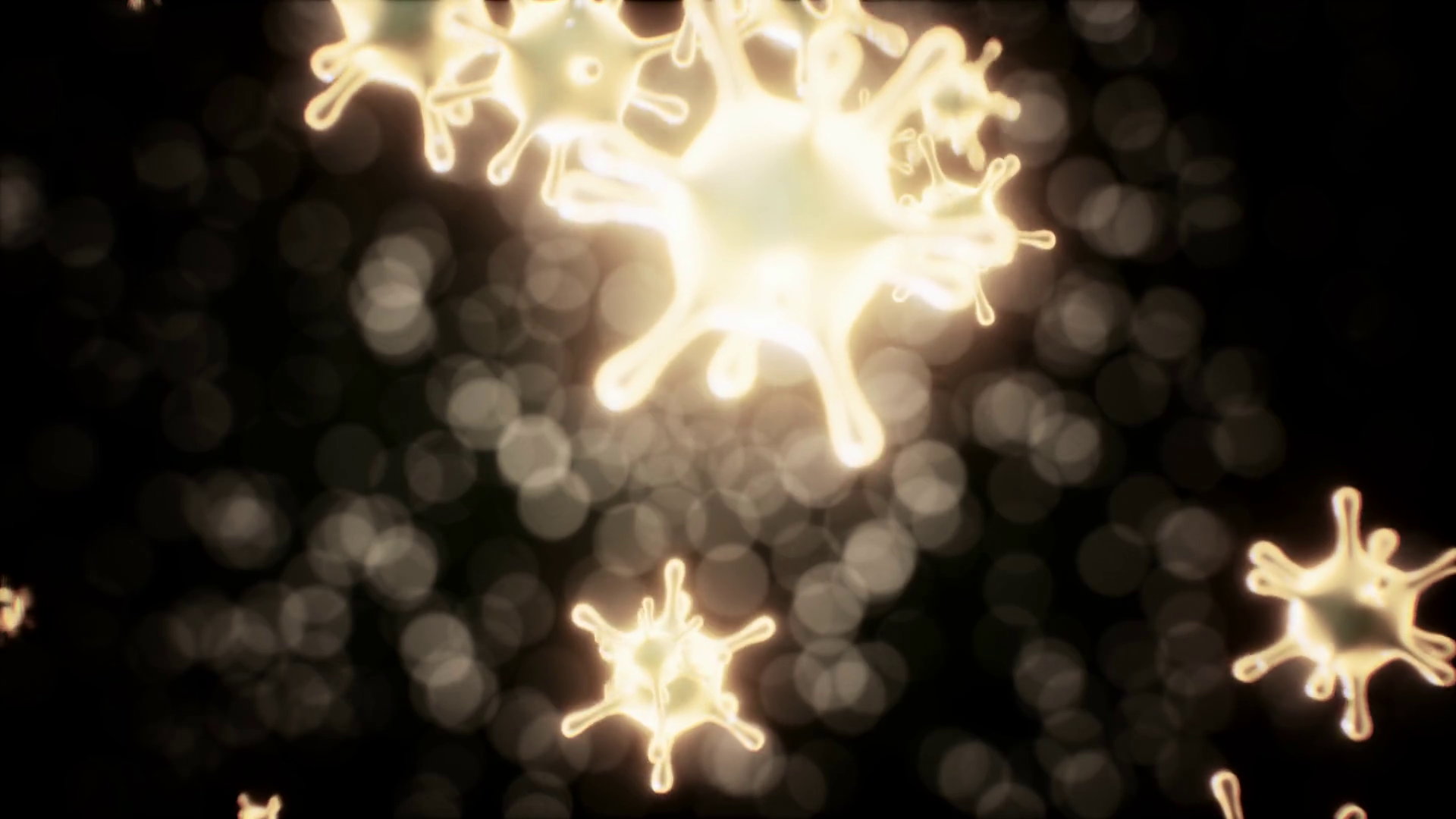 Viruses Under Microscopic View Education Stock Motion Graphics SBV ...