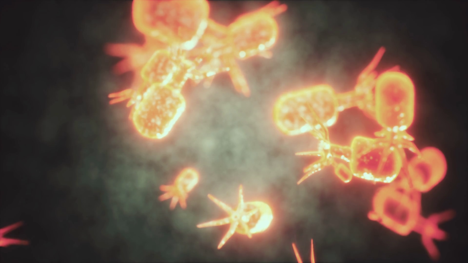 Viewing Navirus Under Digital Microscope Stock Motion Graphics SBV ...