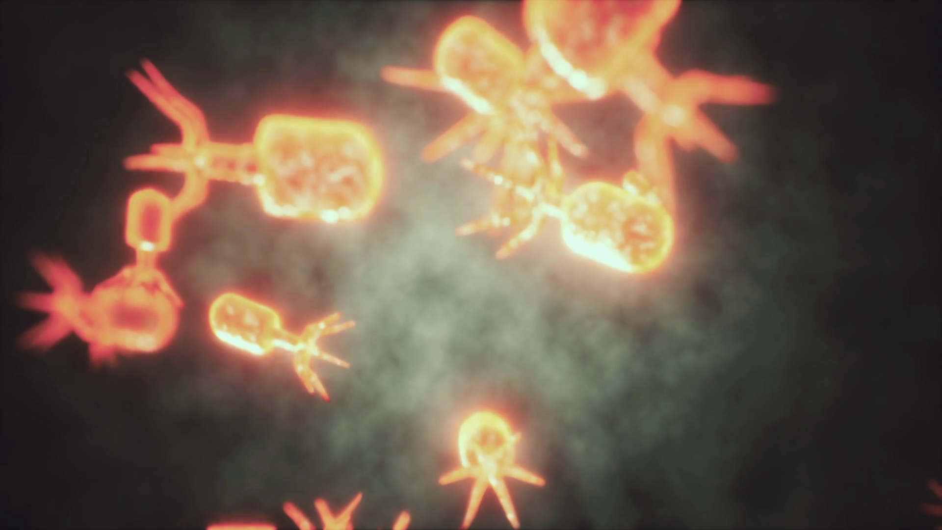 Virus Cells Bacterias Under Microscope Stock Footage SBV-347717964 ...