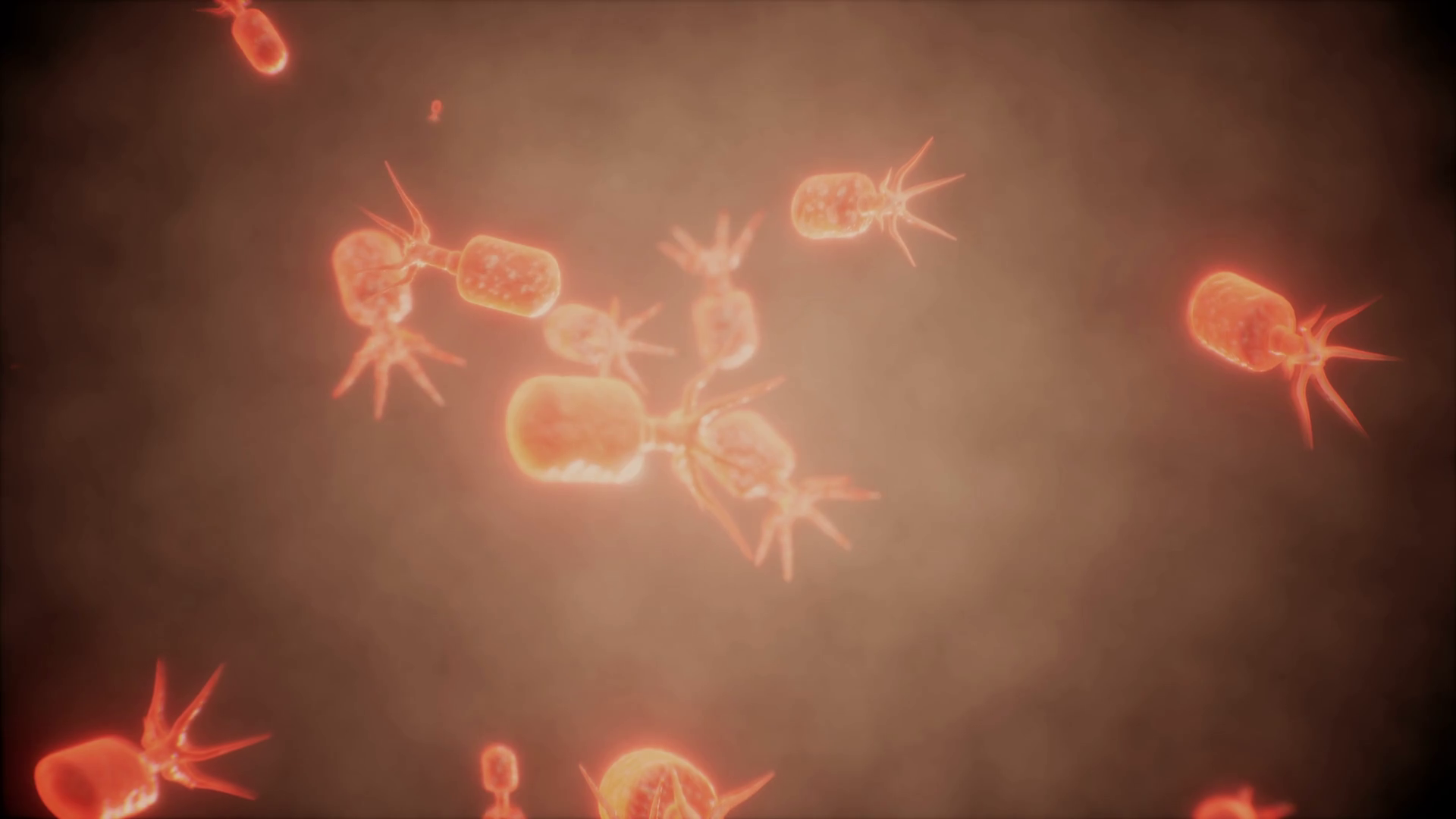 Virus Cells Bacterias Under Microscope Stock Footage SBV-347661853 ...