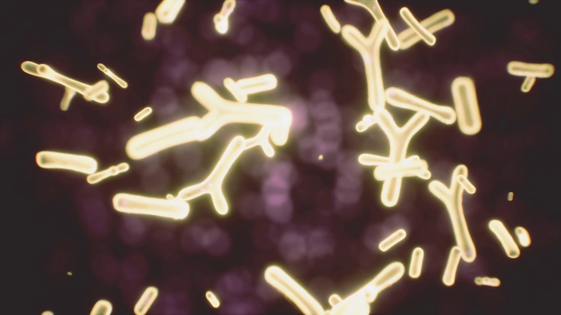 Illustration Of Virus Cells Bacteria Stock Footage SBV-347718623 ...