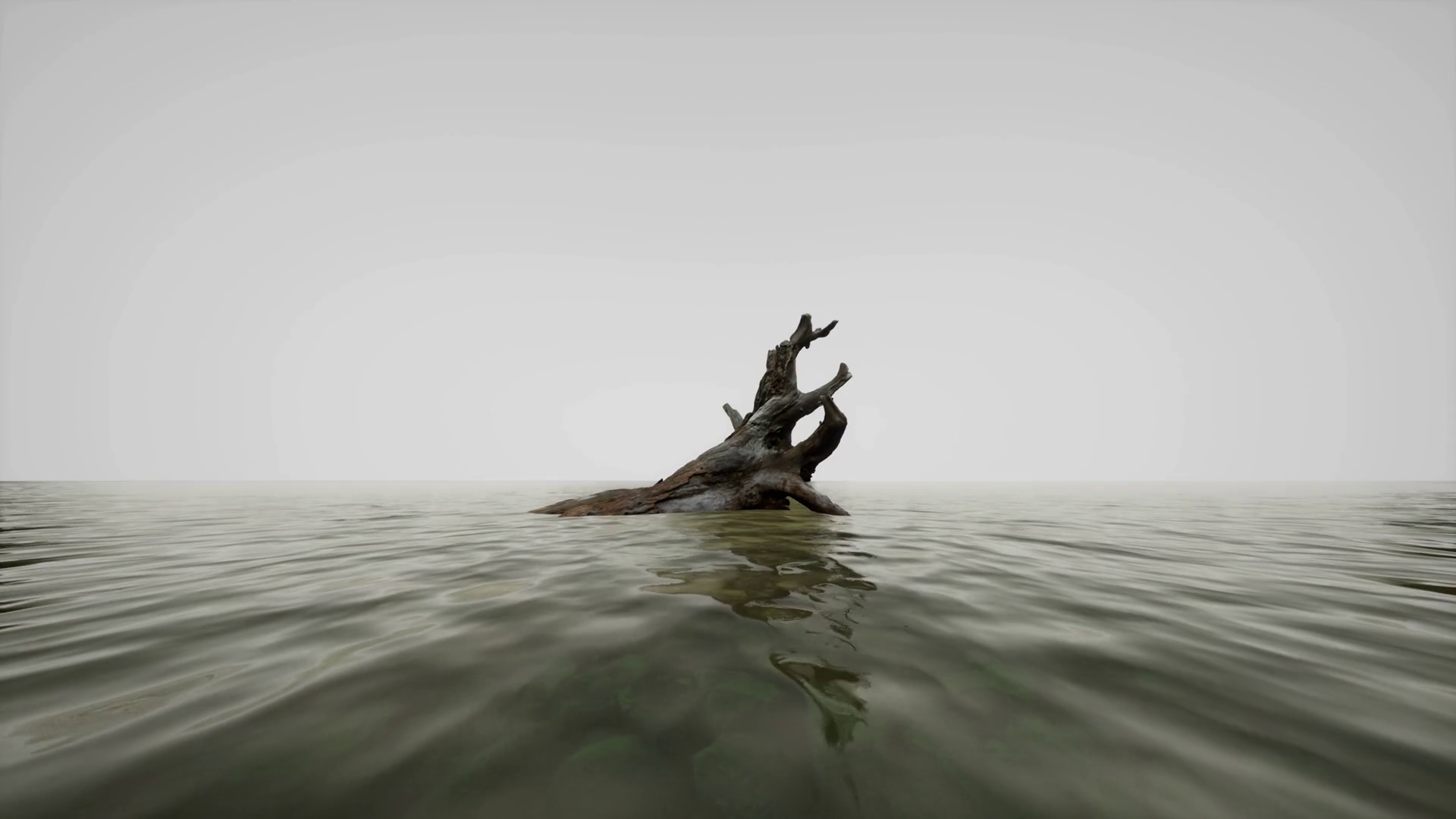 Isolated Dead Tree In Water On Beach In Stock Motion Graphics SBV ...