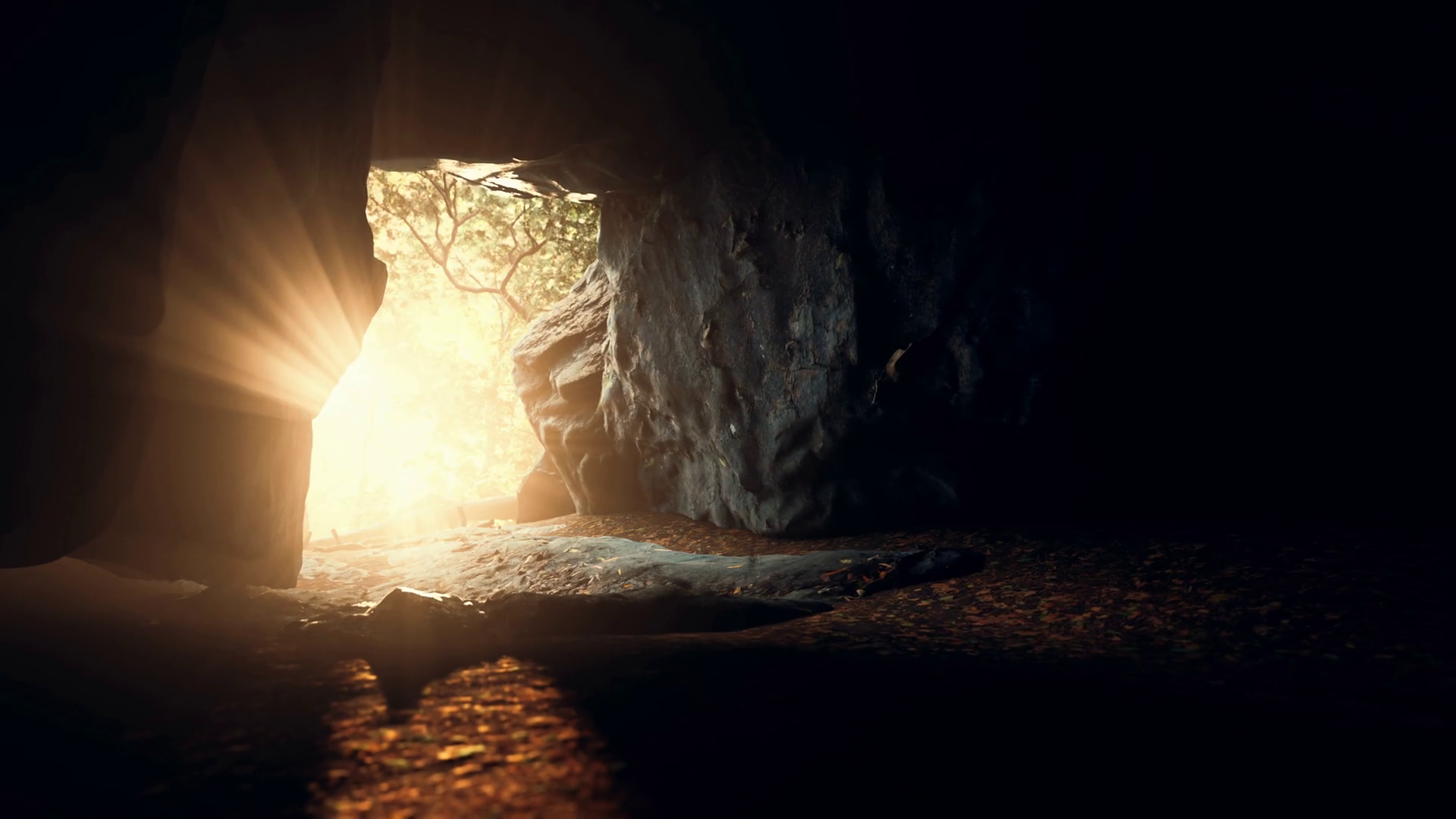 Big Dark Cave Sun Light From Jungle Forest Stock Motion Graphics SBV ...