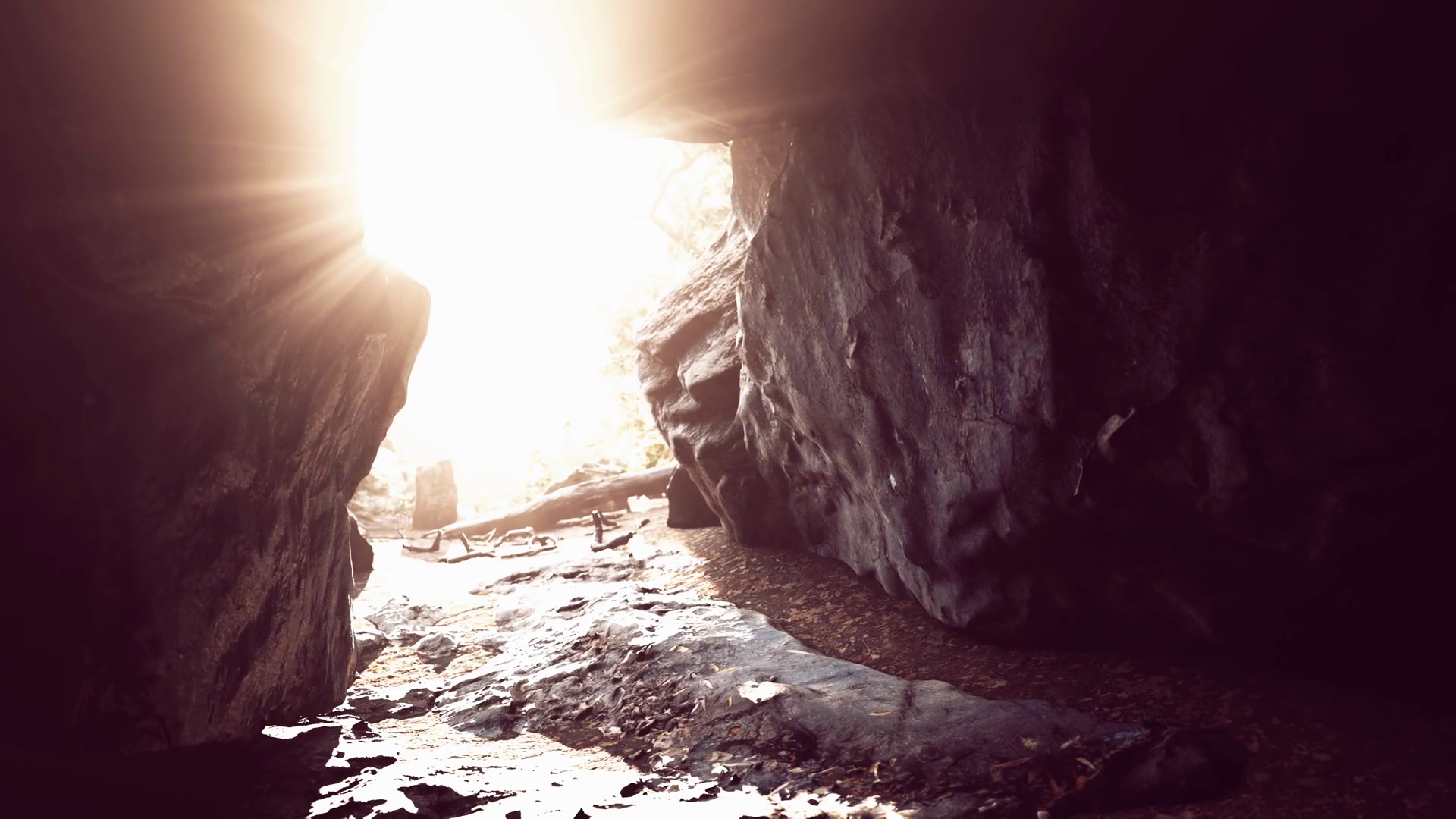 Breathtaking Scenery Of Bright Sun Rays Stock Motion Graphics SBV ...