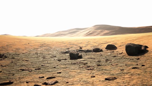 Opportunity Paper Stock Footage: Royalty-Free Video Clips - Storyblocks