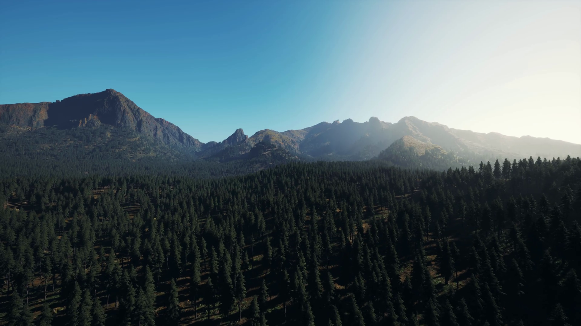 Landscape View Of Mountain Range With Trees Stock Motion Graphics SBV ...
