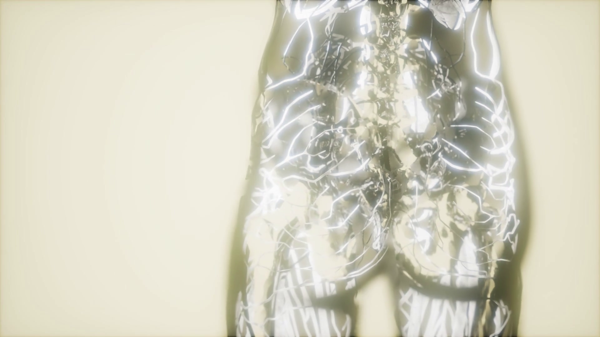 Inspection Of Blood In Blood Vessels Of Stock Motion Graphics SBV ...