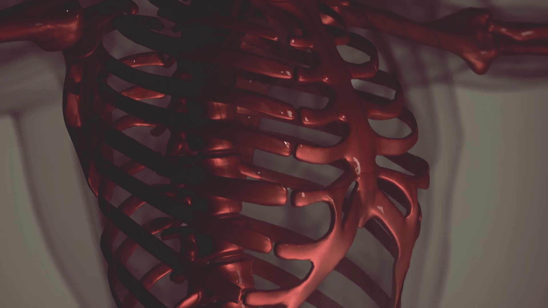 3d Rendered Medical Animation Of Human Bones Stock Footage SBV ...